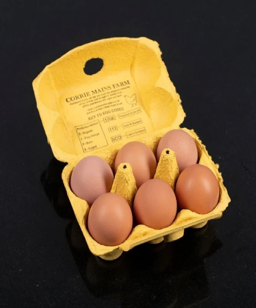 6 Pack Free Range Large Eggs | SS FOOD SERVICE