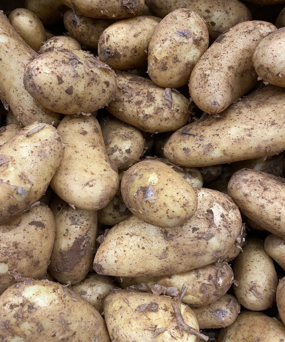 Cyprus (Spunta) Potato 1kg | SS FOOD SERVICE